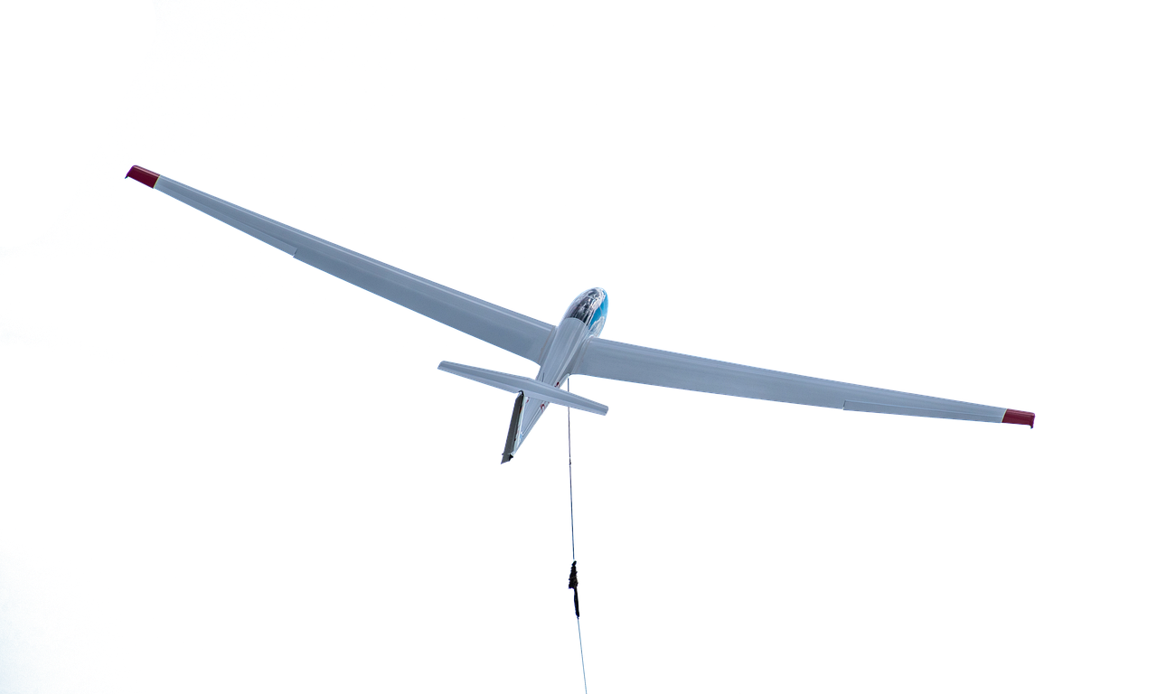 私は「左右盲」だった | ぺいたいぺいうぉ～く